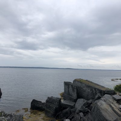 Mortal life on Earth - Life, personal thoughts, food